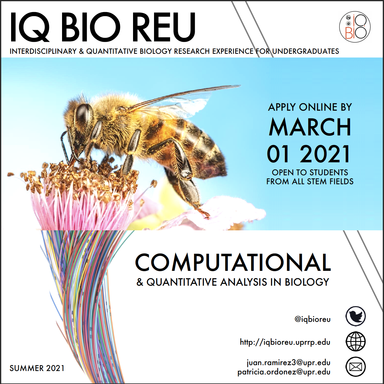 Posted on April 30, 2020